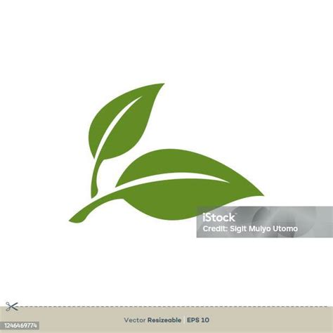 綠葉向量標誌範本插圖設計向量 Eps 10向量圖形及更多中古時代圖片 中古時代 乾淨 互聯網 Istock