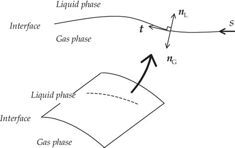 interfacial coordinates at the gas liquid interface where the