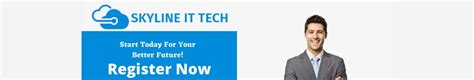 Skylineittech Linkedin