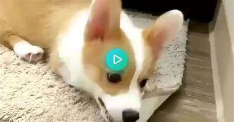 Pure Heck Album On Imgur