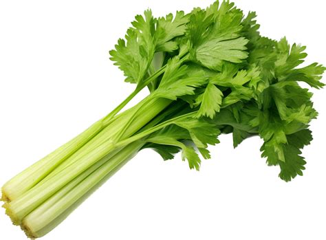celery png with ai generated 33303078 png
