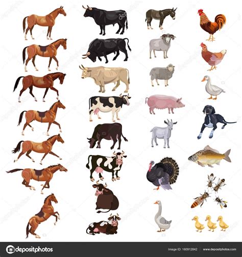 Vector Animales De Granja Vector Gráfico Vectorial © Newgena Imagen