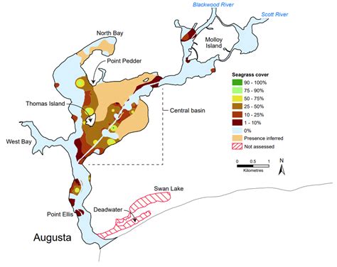 Hardy Condition Healthy Estuaries