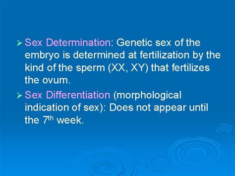 Development Of Genital System Ovaries Fallopian Tubes Uterus