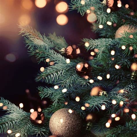 Luxury Reed Diffusers Melt Shop Online