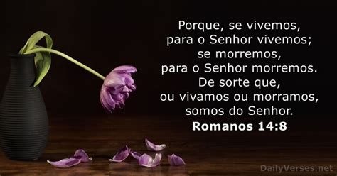 126 Versículos Da Bíblia Sobre A Vida 36
