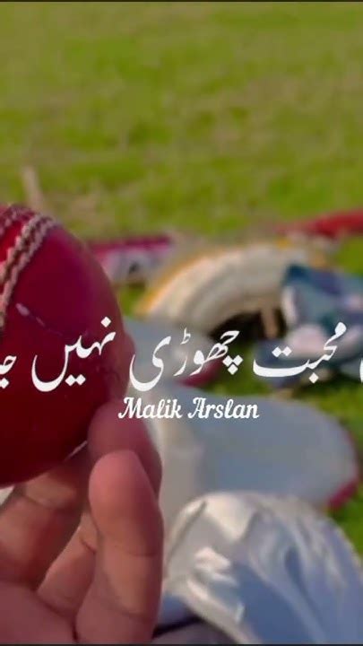 Cricket Is My Life🏏 Youtube