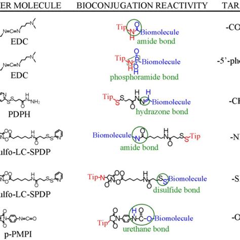 Schematic Representation Of Chemical Functionalization Strategies Using