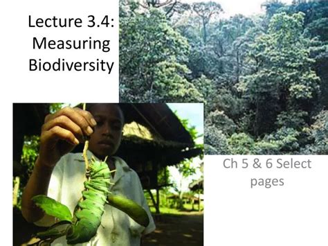 Ppt Lecture 34 M Easuring Biodiversity Powerpoint Presentation