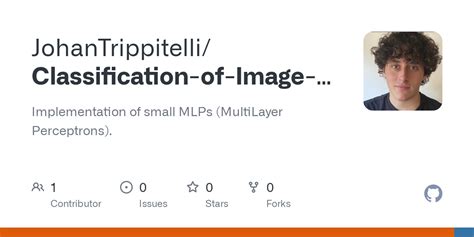 github johantrippitelli classification of image data with multilayer