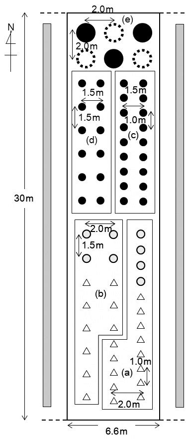 Schematic Diagram Of The Subfield Planted With Trellis Trained Trees