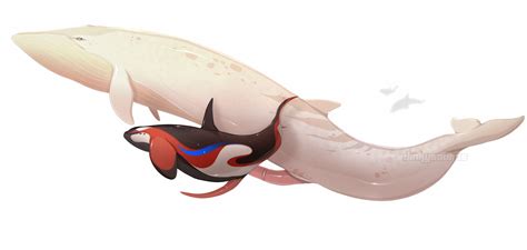 Rule 34 2022 Anal Anal Sex Animal Genitalia Animal Penis Baleen Whale