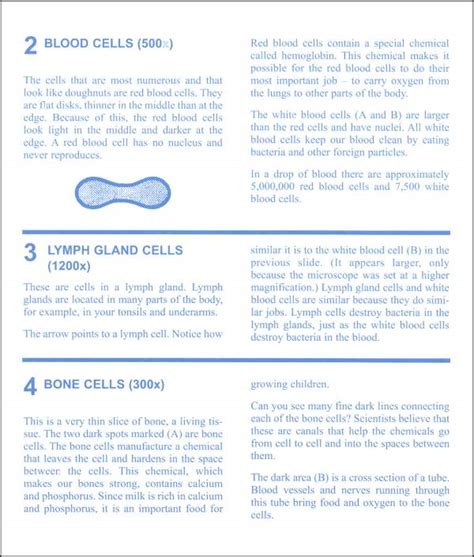 Cells Of Your Body Microslide Lesson Set Supertek Scientific
