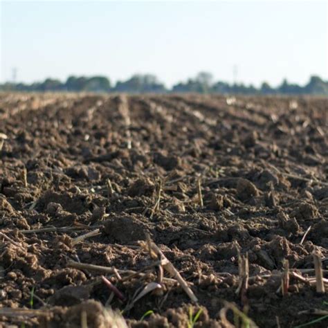 Kiedy wykonać badanie gleby Agrotechnology
