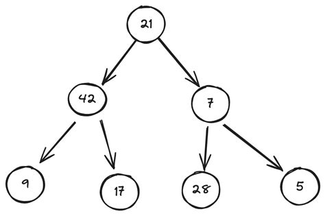 Binary Trees Stochastic Entity