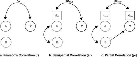 Sage Reference The Sage Encyclopedia Of Social Science Research