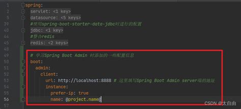 监控之spring boot admin csdn博客