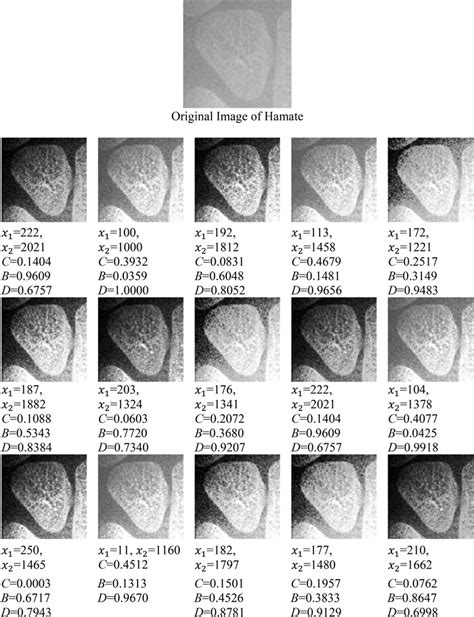example set of pareto optimised bi histogram equalised resultant images