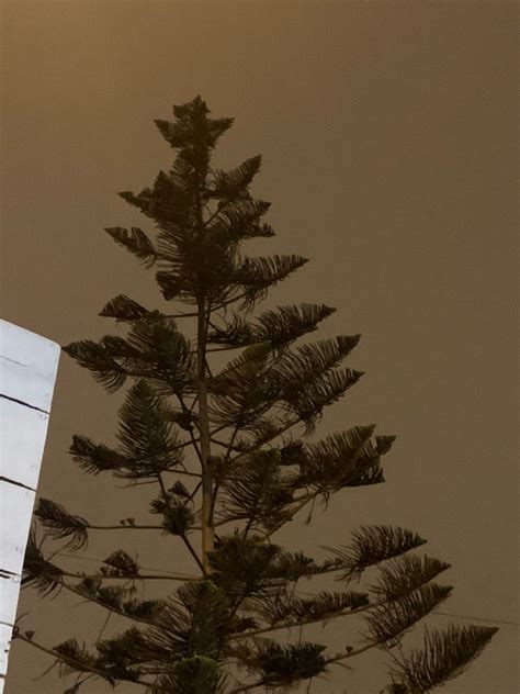 Pino 🌲 In 2022 Lamp Post Structures