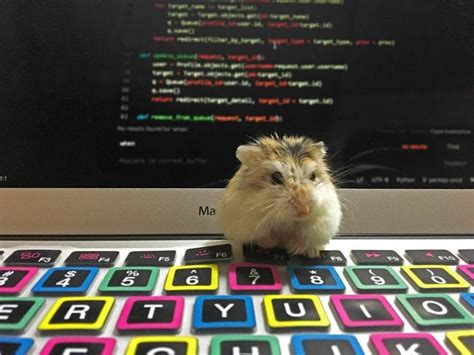 how to add dark mode in next js 15 using tailwind css by codew medium