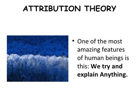 Attribution Theory