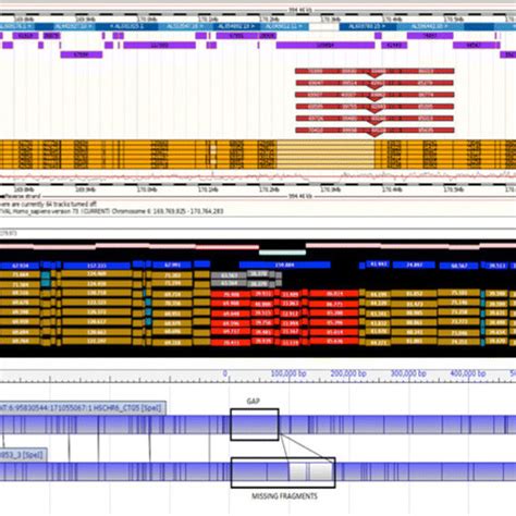 Comparison Of Viewers For Optical Mapping Data Aligned To A Region On