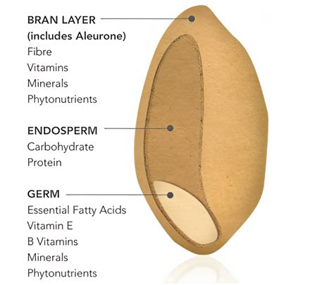 Our Blogs Healthy Solution