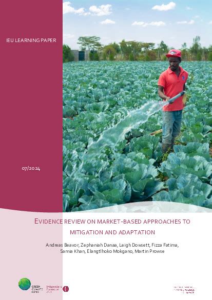 Synthetic Review Evidence Review On Market Based Approaches To Mitigation And Adaptation