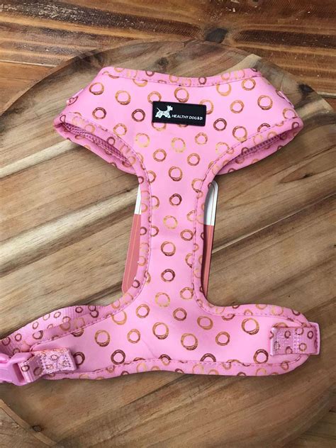 Harnesses Best For Pets