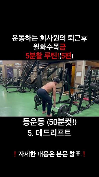 운동하는 회사원 5분할 운동루틴 등운동오늘의 운동운동일지헬스웨이트트레이닝운동하는남 자운동하는여자운동하는직장인운동하는회사원 오운완 Youtube