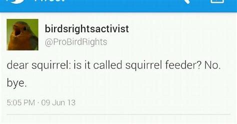 Things Heating Up In The Animal Kingdom Imgur