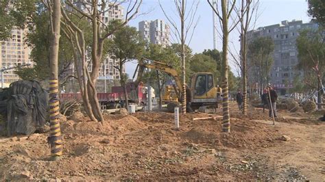 高速互通口景观改造工程将在春节前完成 绿化