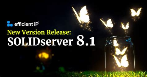 Solidserver 8 2 Cloud Observer And Object Manager Efficientip