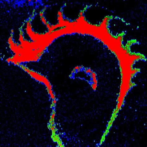 Stream Apache Grass Music Listen To Songs Albums Playlists For Free