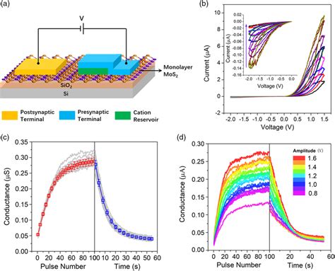 Device Structure And Electrical Performance Of The PTCM A The Download Scientific Diagram