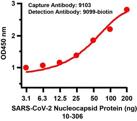 Sars Cov 2 Nucleocapsid Polyclonal Antibody Invitrogen 100 μg