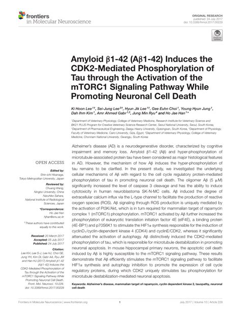 Pdf Amyloid β1 42 Aβ1 42 Induces The Cdk2 Mediated Phosphorylation