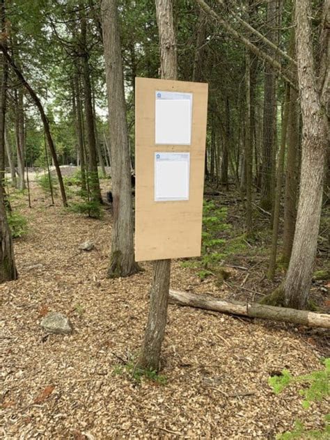 Getting Our Building Permits The Cottage Wife