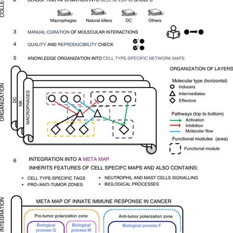 Map Construction Workflow And Map Structure The Scheme Demonstrates Download Scientific