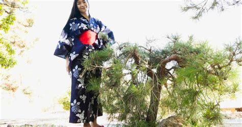 Why Is My Bonsai Tree Drying Up Bonsai Tree Help