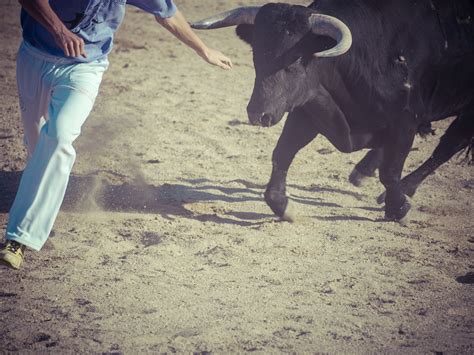 Muere Un Hombre Corneado Por Un Toro Durante Un Encierro En Valladolid