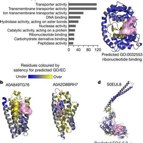 Putative Novel Enzymes And Small Molecule Binding Proteins In Download Scientific Diagram