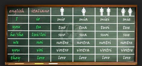 Possessive Adjectives Flashcards Quizlet