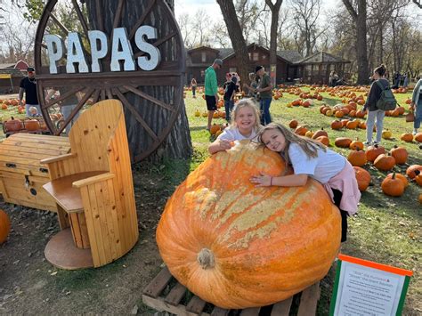 Papas Papas Pumpkin Patch And Papas Polar Patch