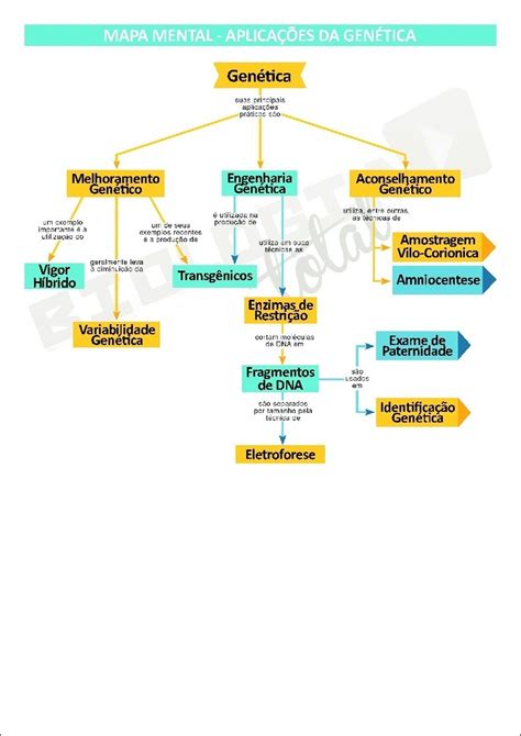 Mapa Mental Engenharia Genetica Fdplearn