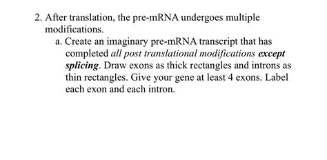 Solved 2 After Translation The Pre Mrna Undergoes Multiple