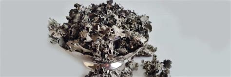 Stone Flowers Famousa