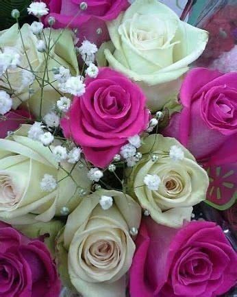 Abbas Atieh Ha Condiviso Un Post Su Instagram Floweratieh Abbas