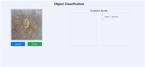 Github Mazenasagchickendeseaseclassification 🐔 Chicken Disease Classifier — A Deep