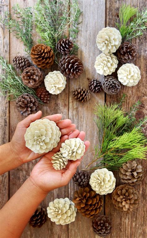 Cones Crafts Pine Cone Crafts Diy Christmas Gifts Christmas Projects
